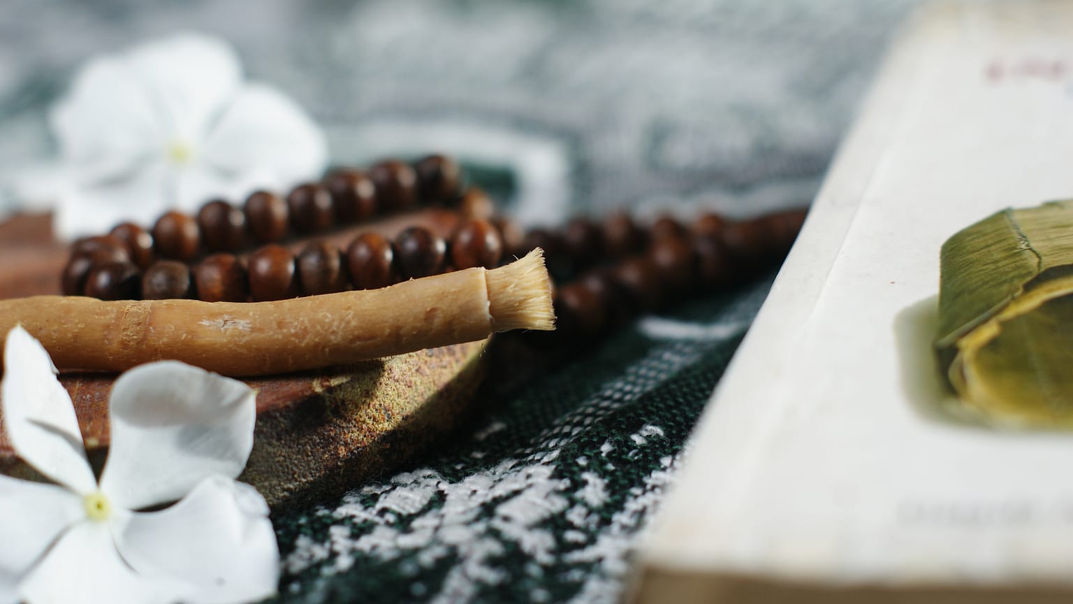 Les bienfaits de l'utilisation du Siwak - Musulmans du monde