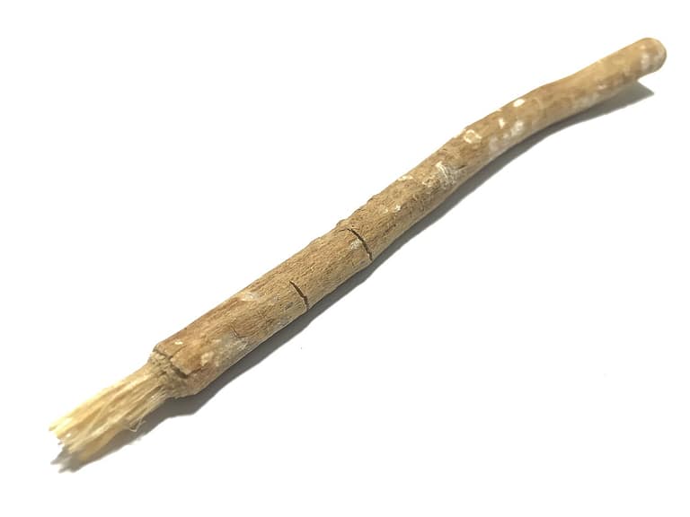 Les bienfaits de l'utilisation du Siwak - Musulmans du monde